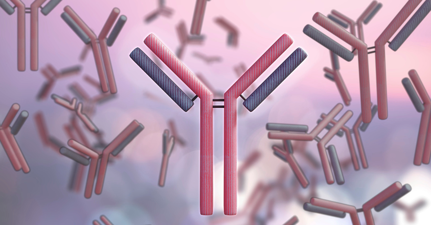 A BiTE idea: engineered antibodies to attack tumors